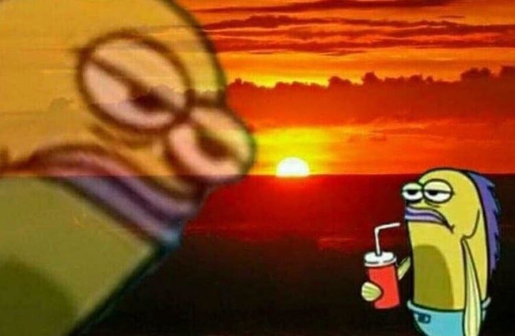 foggy valuable posed