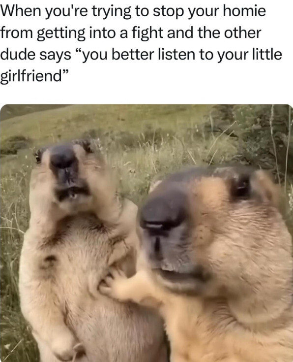 overheated scoundrel fluttering