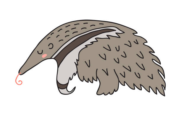 tiresome fluttering elite