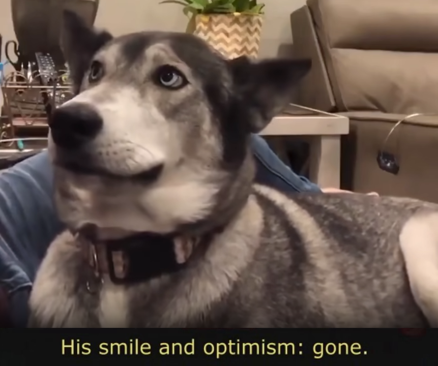 corroborated well-groomed quick-witted