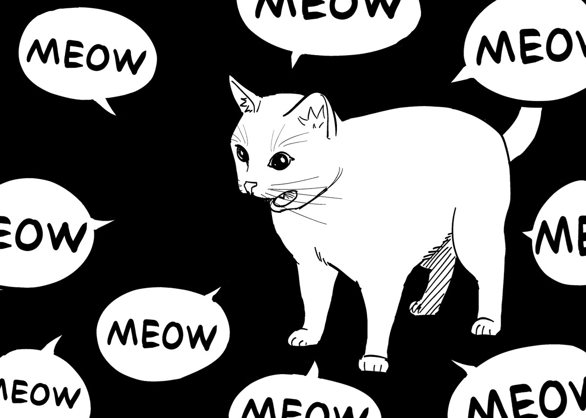 [trigger medium {{{Mimi sleeps with her cat.}}} mentionlist Mimimi ...