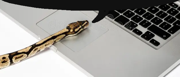 colorful combative anguished