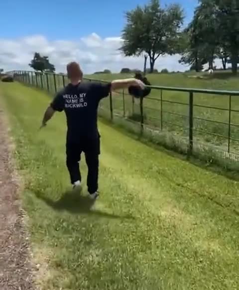 Just a quick dance