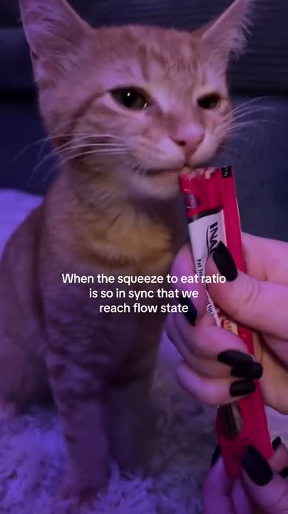 funnyjunk tutorial: comment shortcut