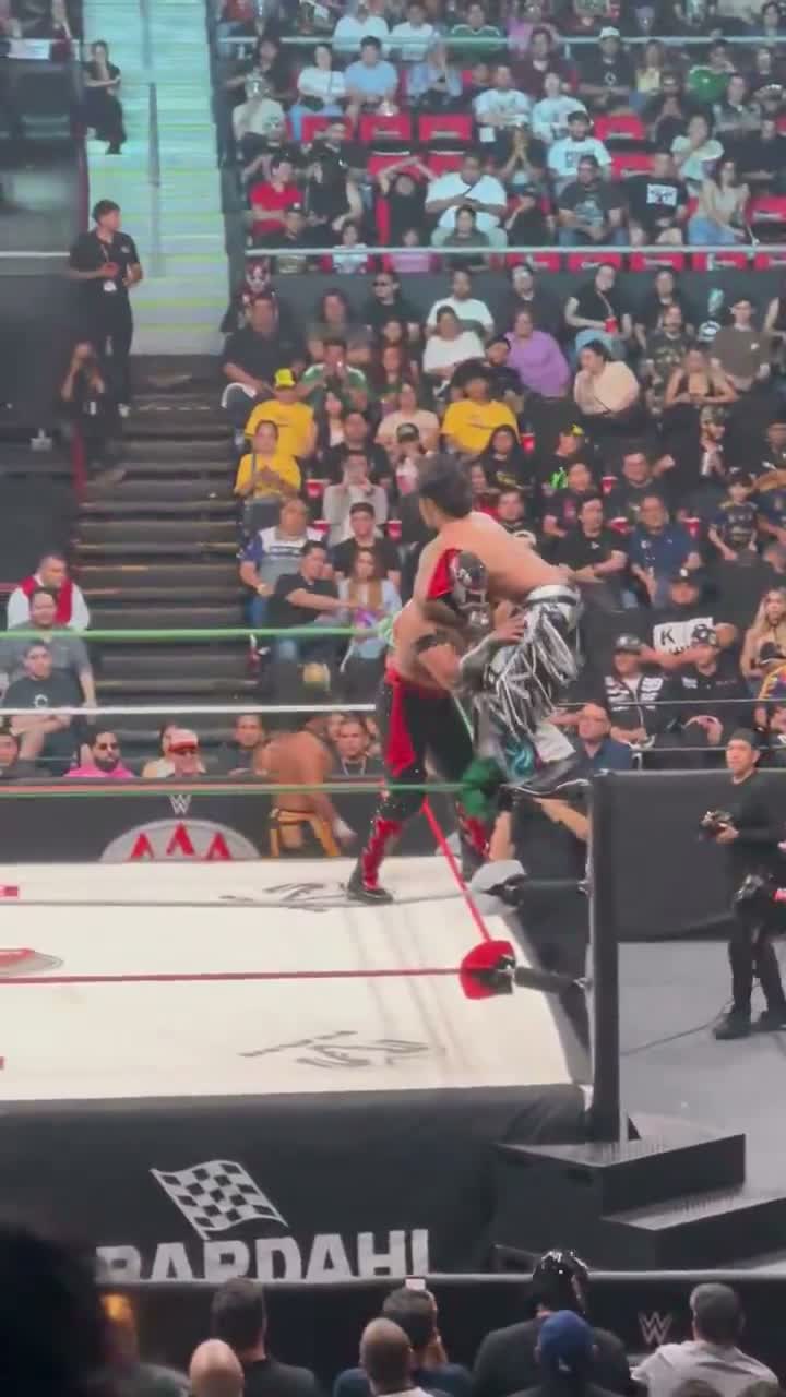 Octagon Injured during the Pre-Show