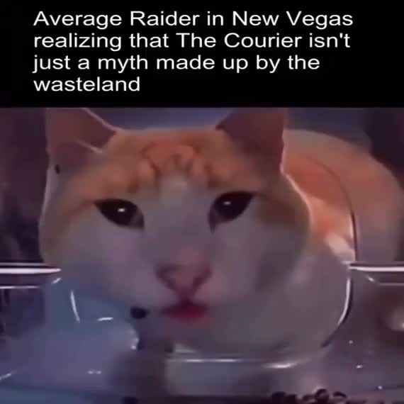 Chat, is this wild?