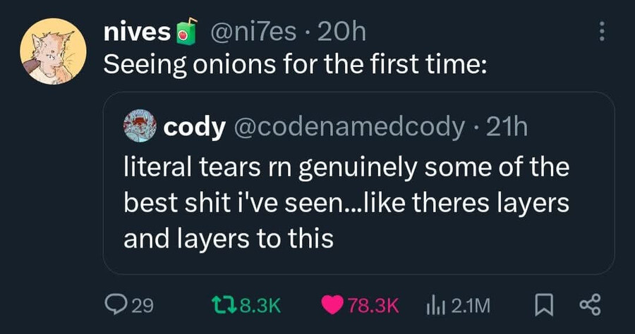 Hmmm, fried onions...