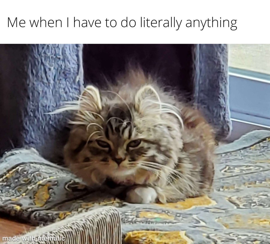 inconclusive skinny meek