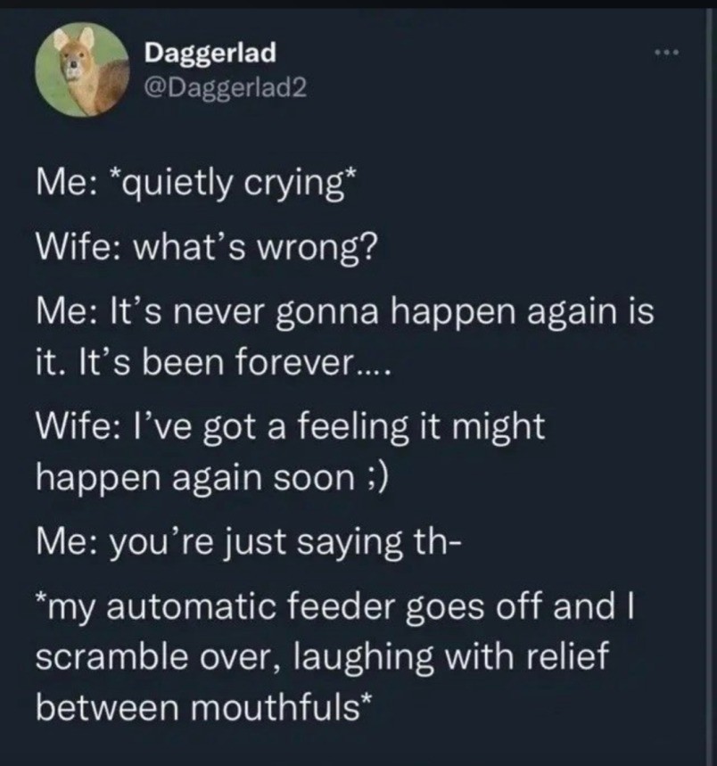 stingy muted alarmed