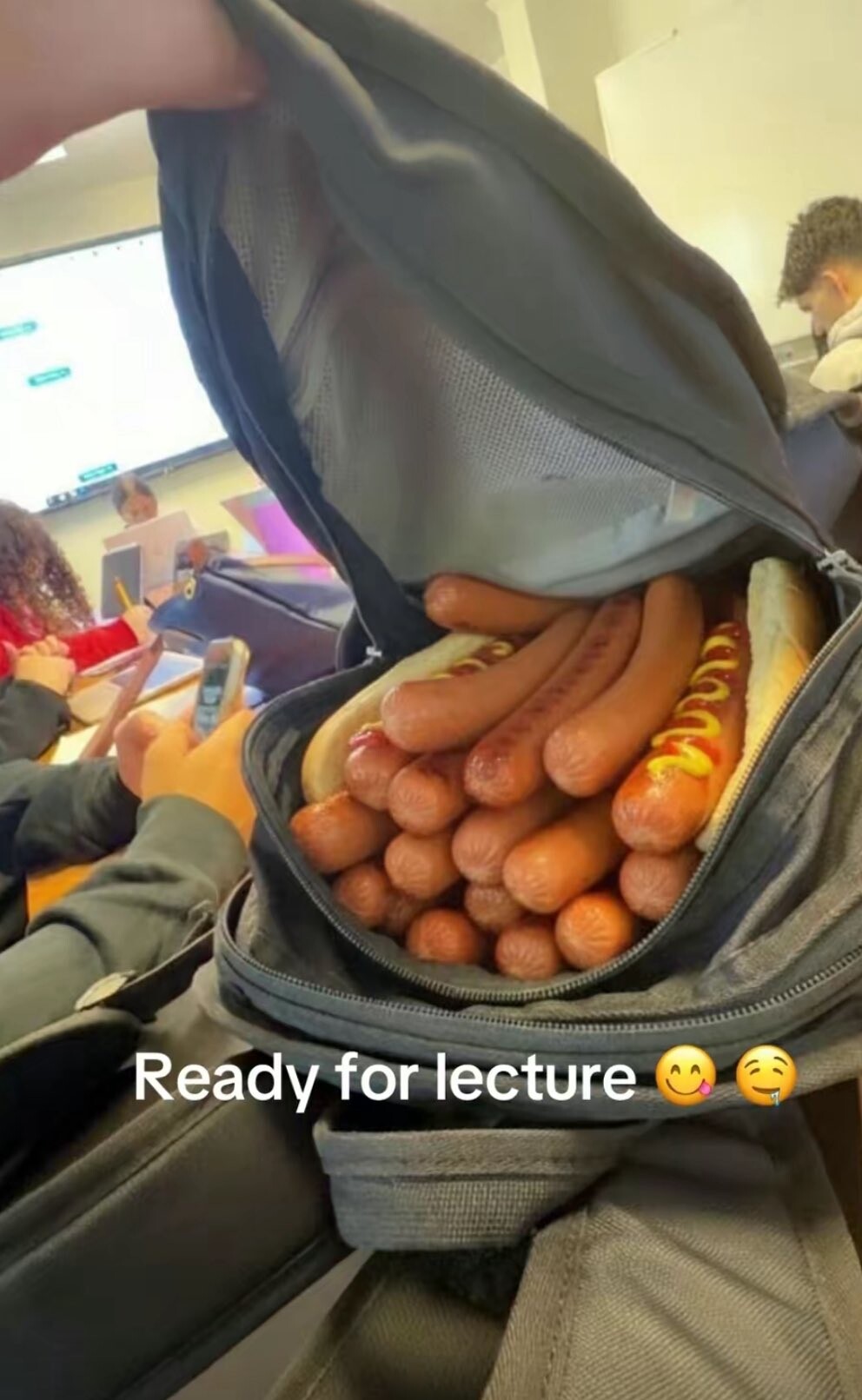 🌭Study🌭🌭Gliztory🌭